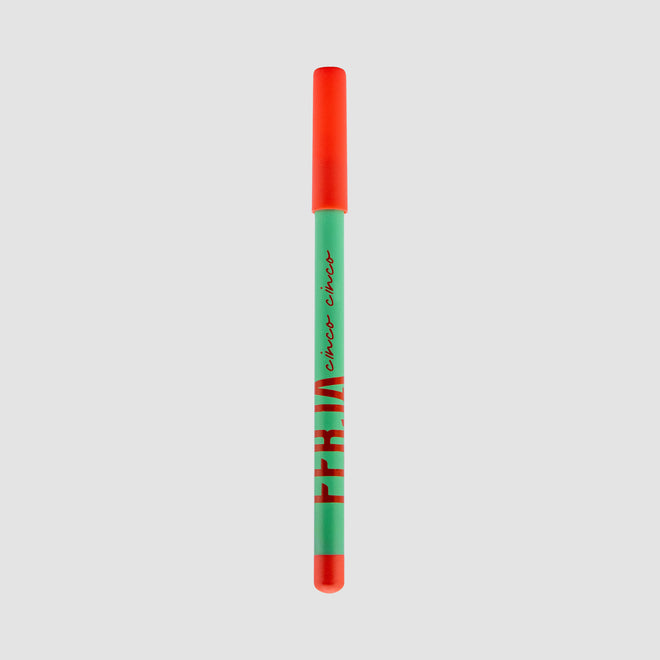 Página de inicio – FERJA